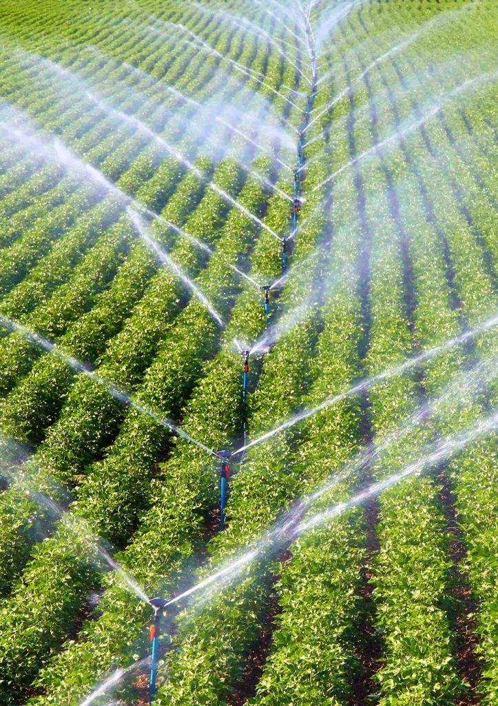 Le système d’arrosage par aspersion – ADN GLOBAL